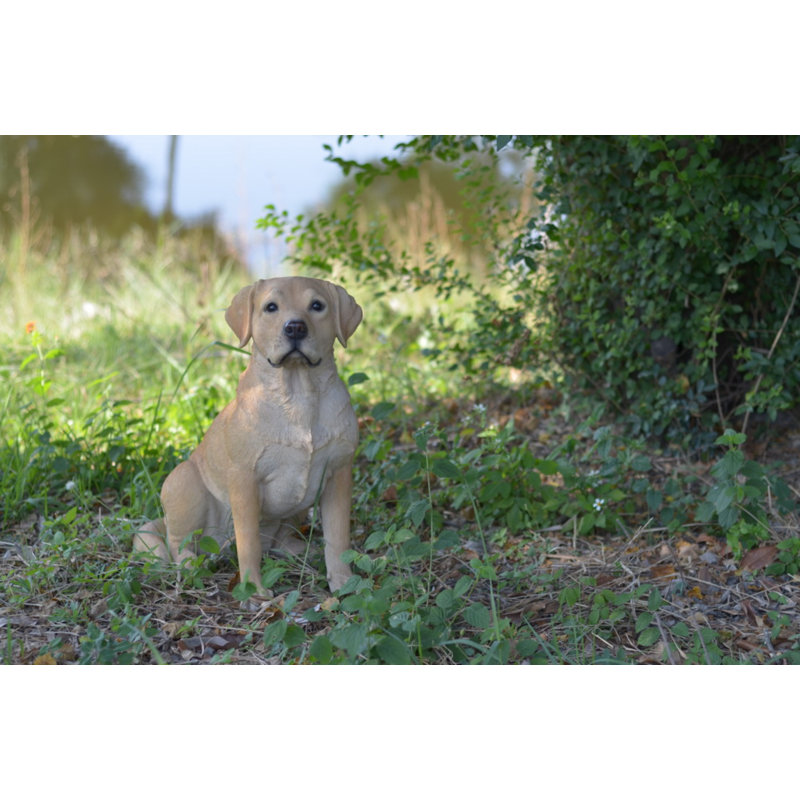 Hi-Line Gift Ltd. Yellow Sitting Labrador Retreiver Dog Statue ...