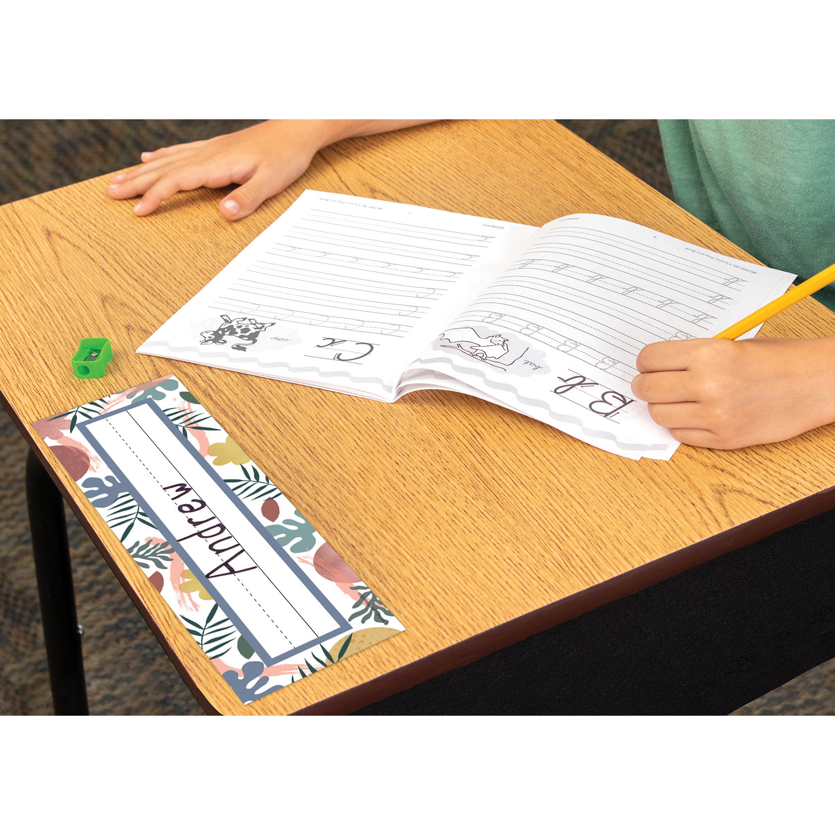 Teacher Created Resources Wonderfully Wild Flat Name Plates | Wayfair