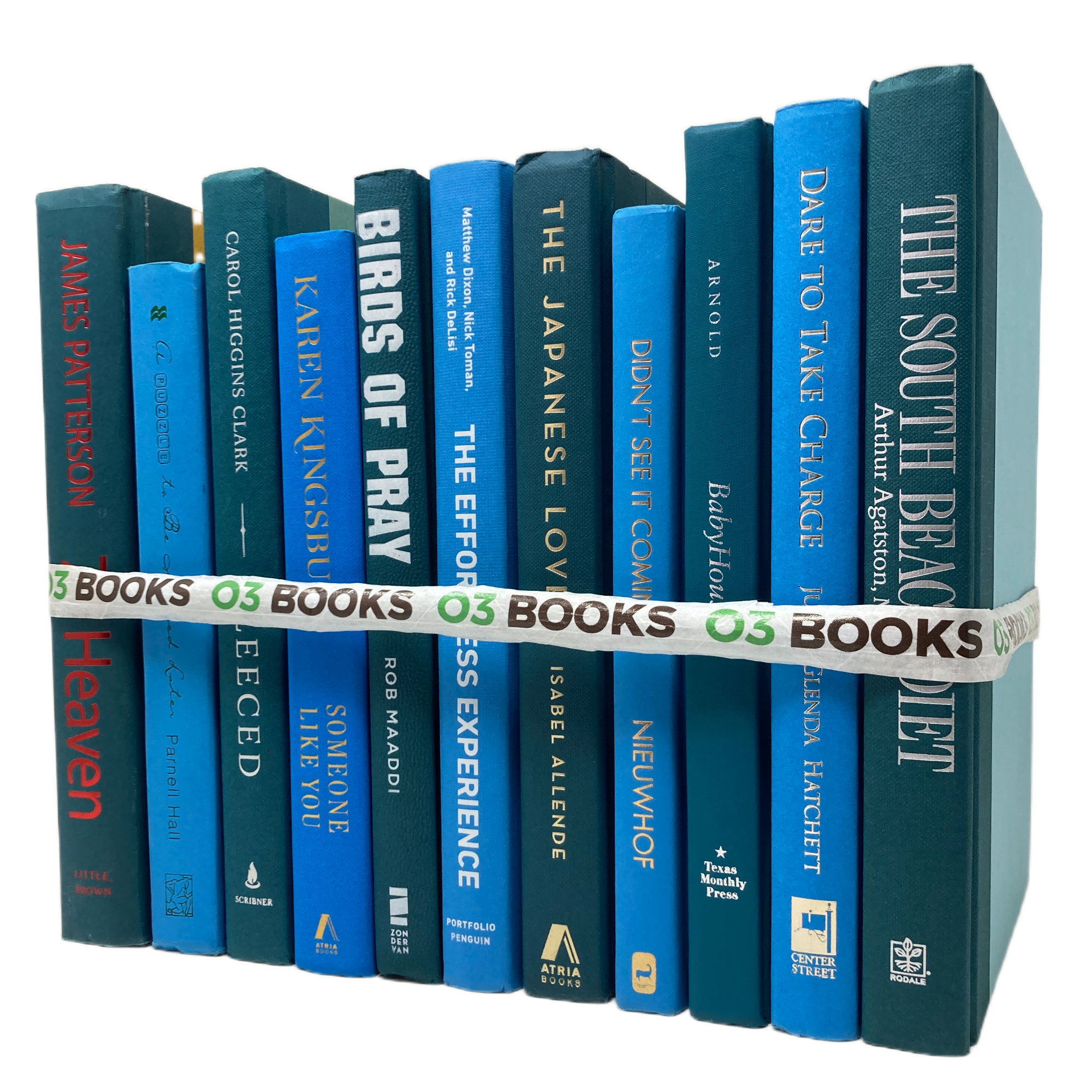 Red Barrel Studio® Coastal Breeze Decorative Books Teal and Blue | Wayfair