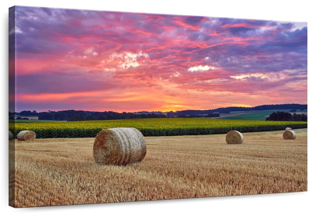 Millwood Pines Alvord Flower Farm Hay Bales | Wayfair