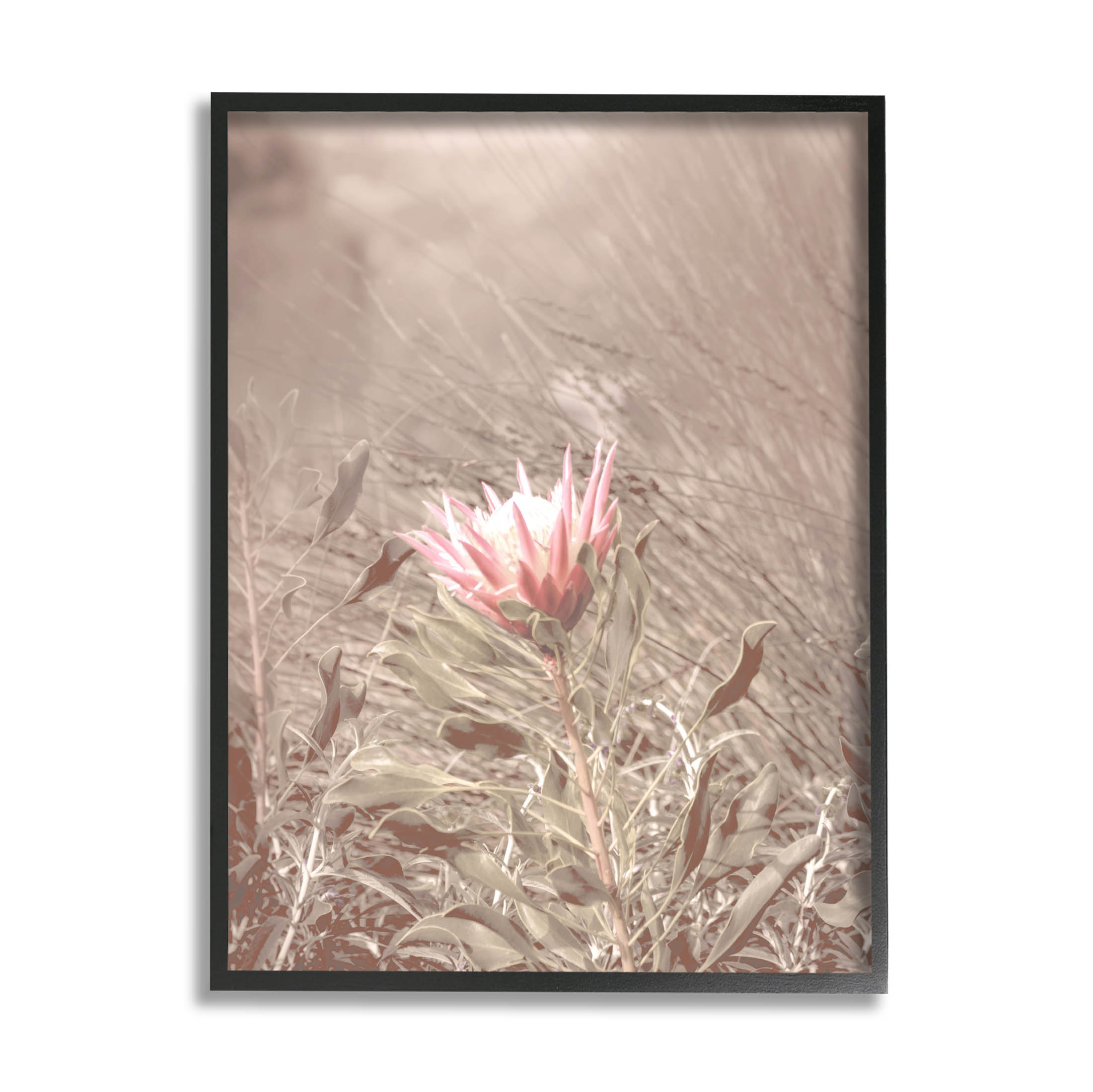 Gracie Oaks Lone Pink Flower Grassland Framed Giclee Art By Lil' Rue ...