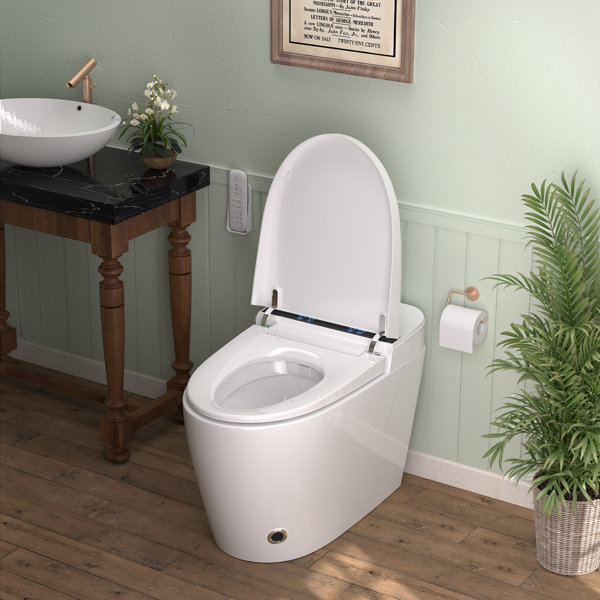 BCAN Smart Toilet with Massage Bidet, Auto Open Lid/Seat, 1.28 Gallons ...