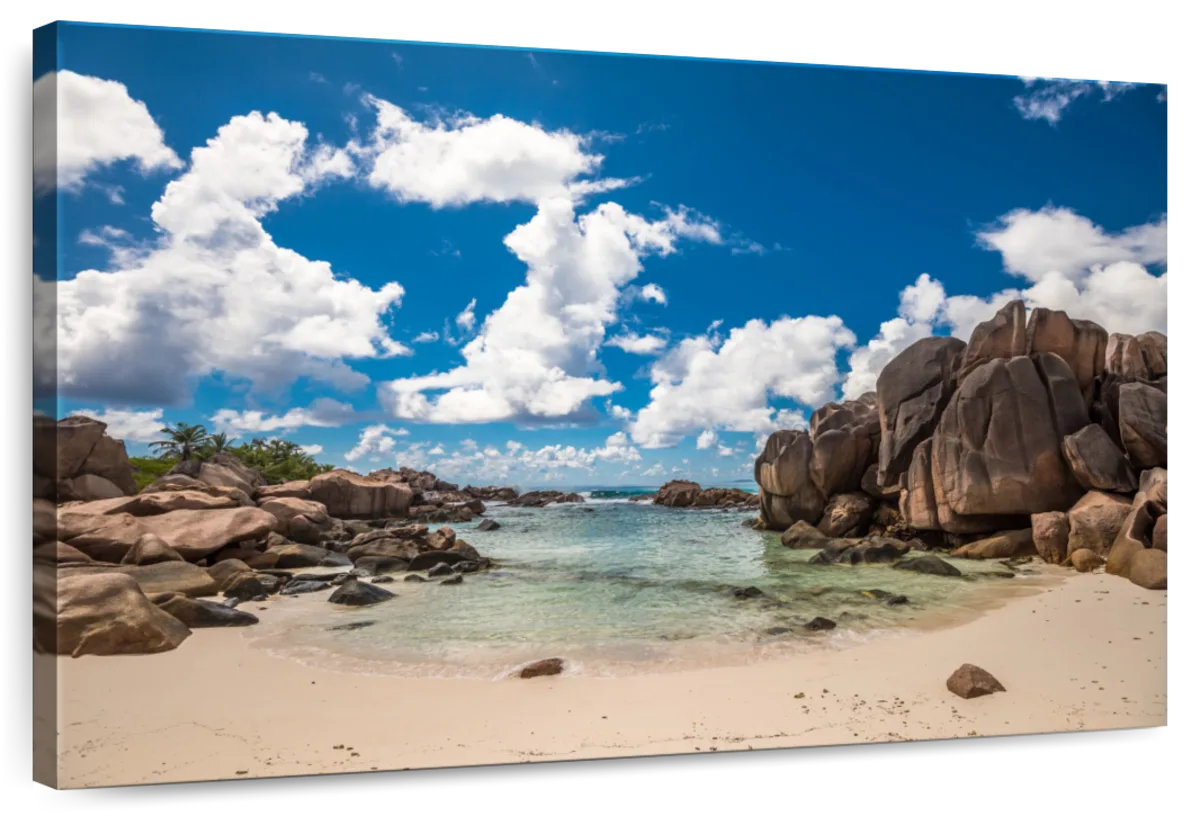 Elephant Stock La Digue Island Seychelles | Wayfair
