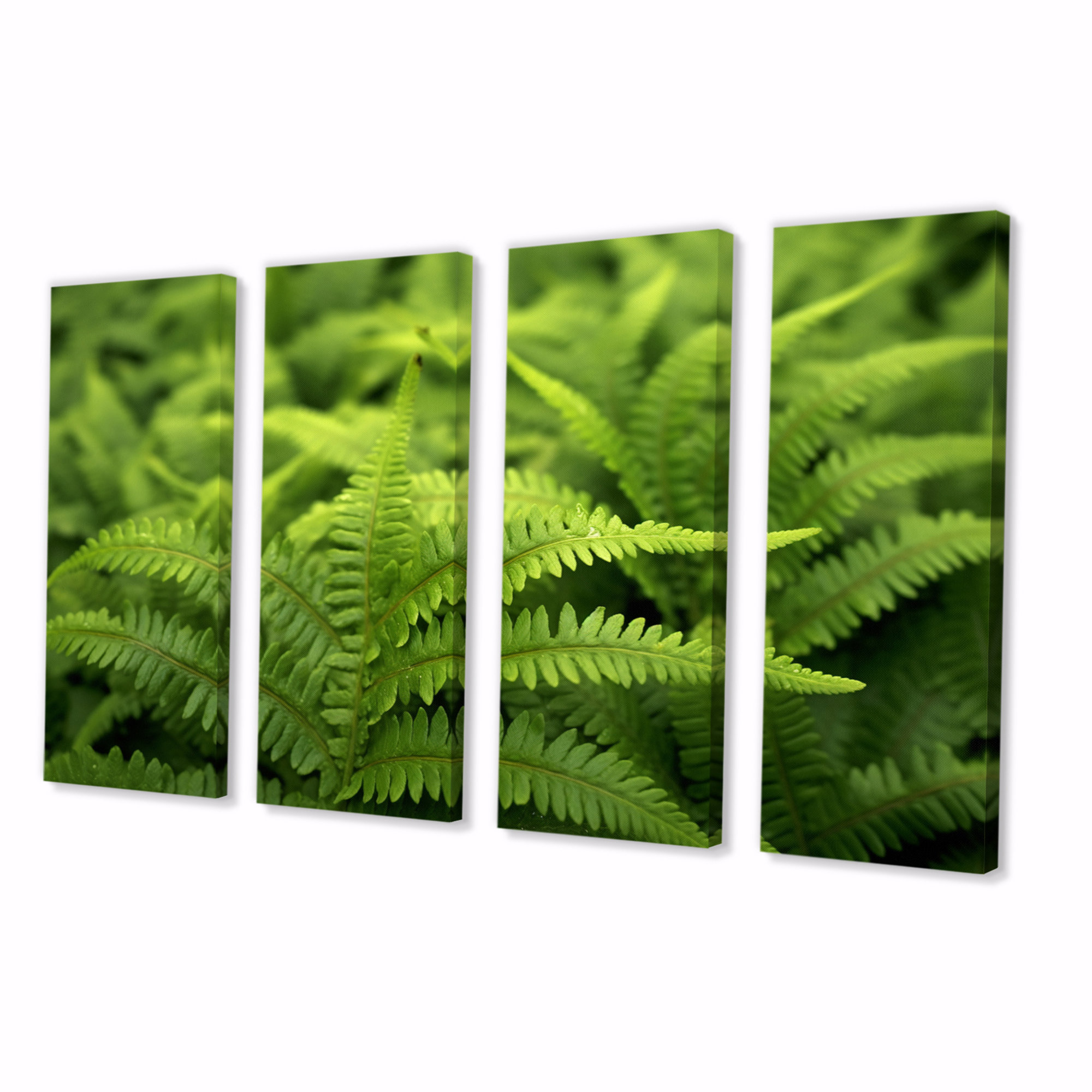Design Art Green Fern Scenery II - Floral Canvas Art Print - 4 Panels ...