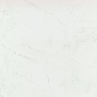 Large Format Marble Look Floor Tile You'll Love | Wayfair