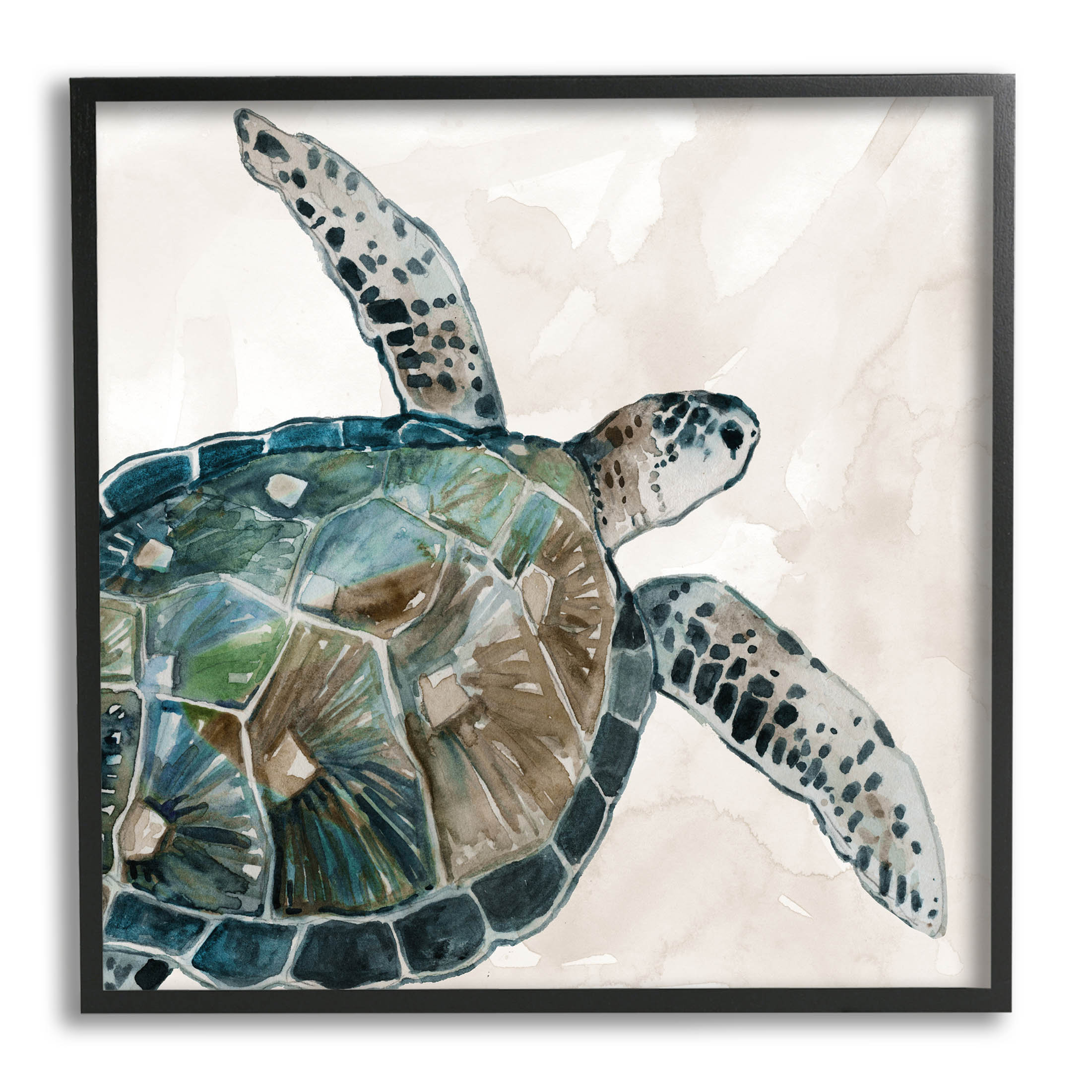 Stupell Industries Brown Tortoise Sea Life Giclee Art By Carol Robinson ...