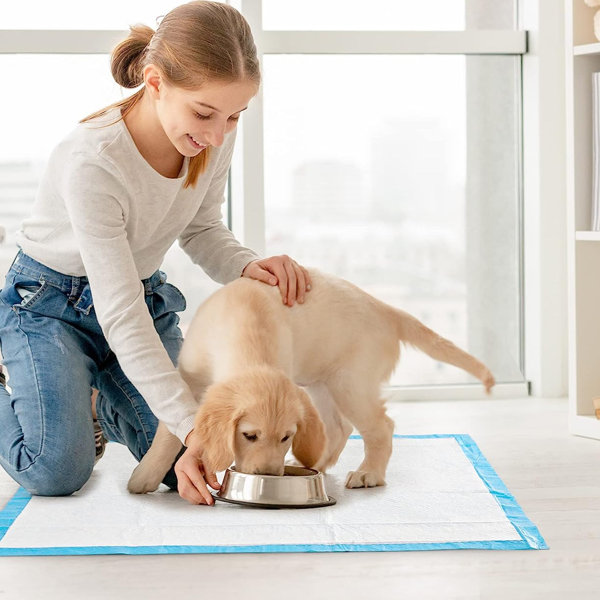 Tucker Murphy Pet™ Puppy Pee Pads23.6''x23.6''-40 Count | Dog Pee ...