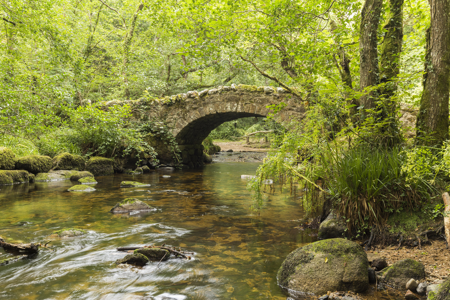 Loon Peak® Hisley Bridge | Wayfair