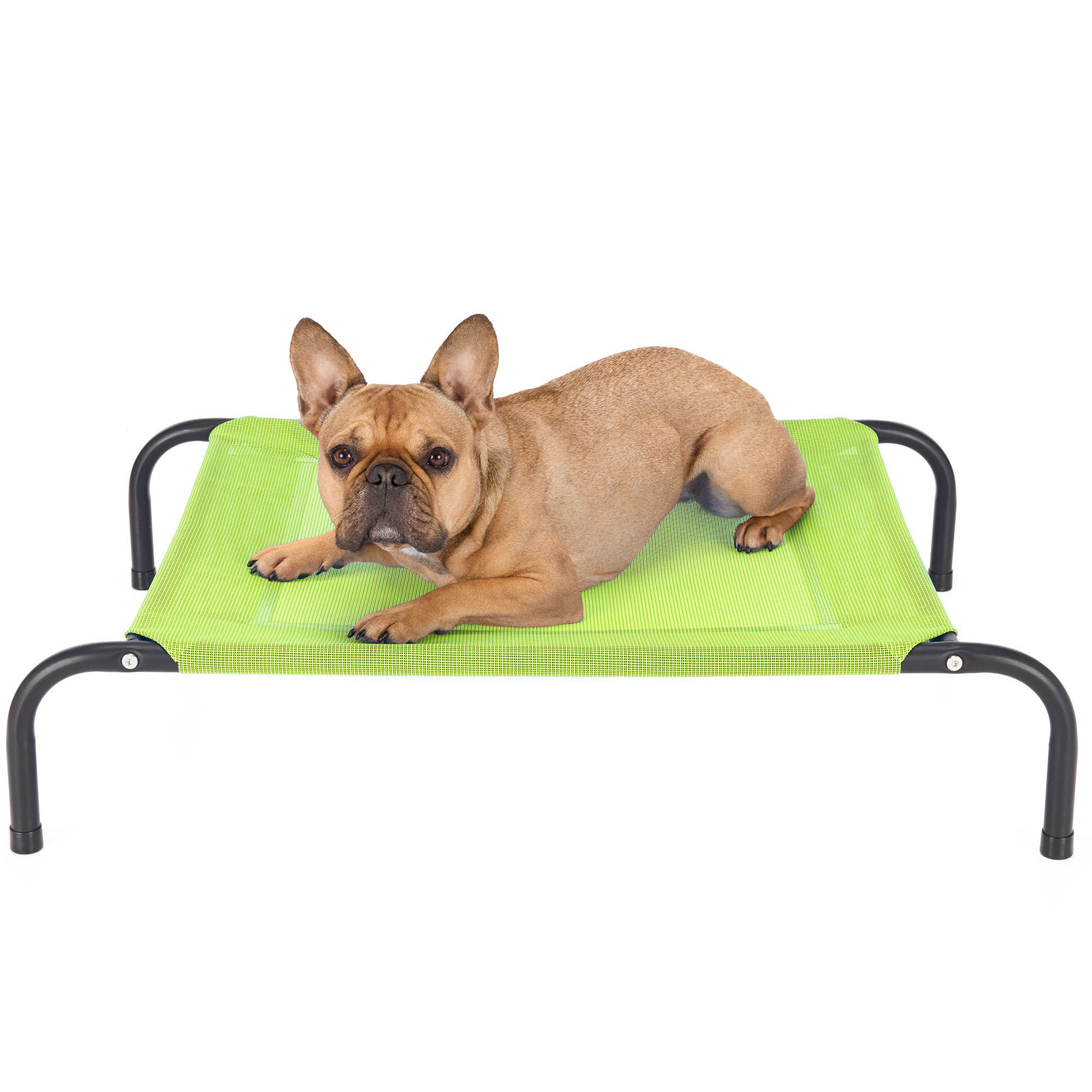 FurHaven Elevated Cot Pet Bed | Wayfair