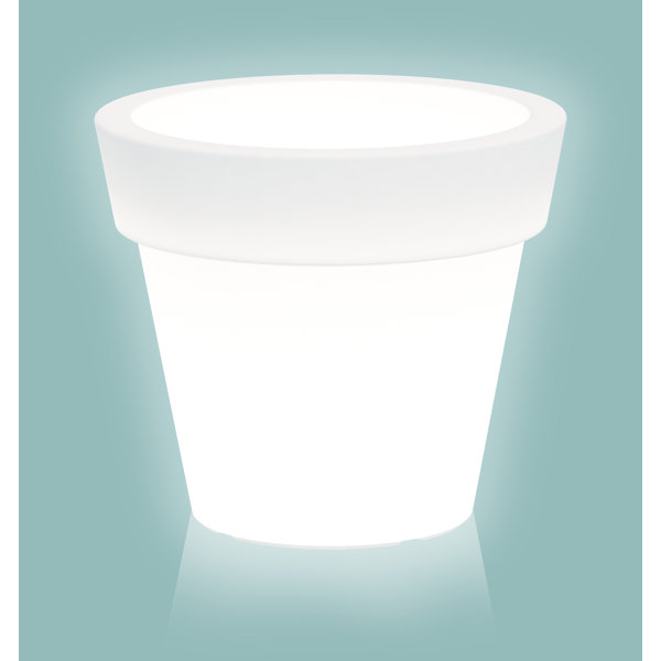 Freeport Park Carron Plastic Plant Pot | Wayfair.co.uk