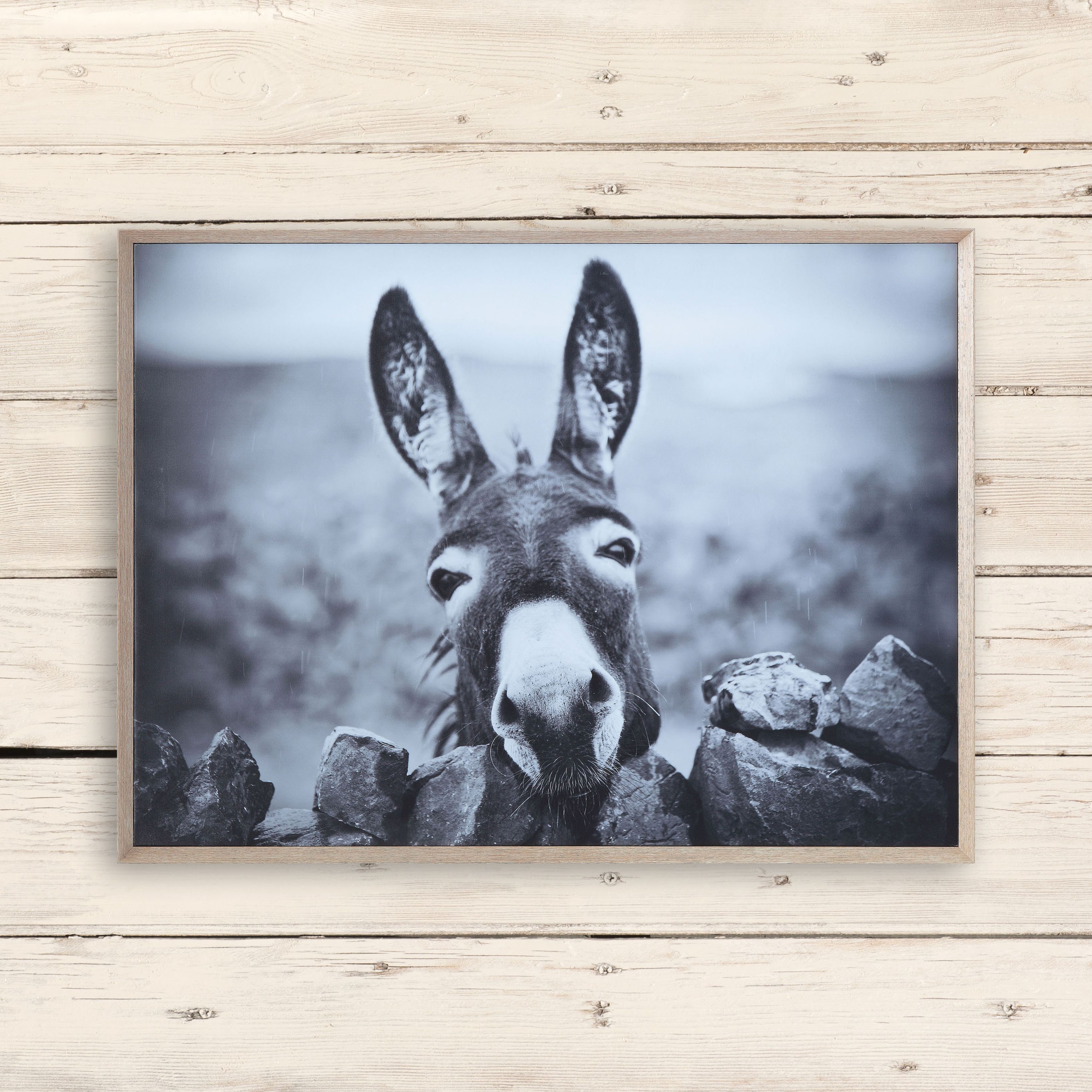 Union Rustic Donkey Portrait Framed Canvas Wall Art & Reviews | Wayfair