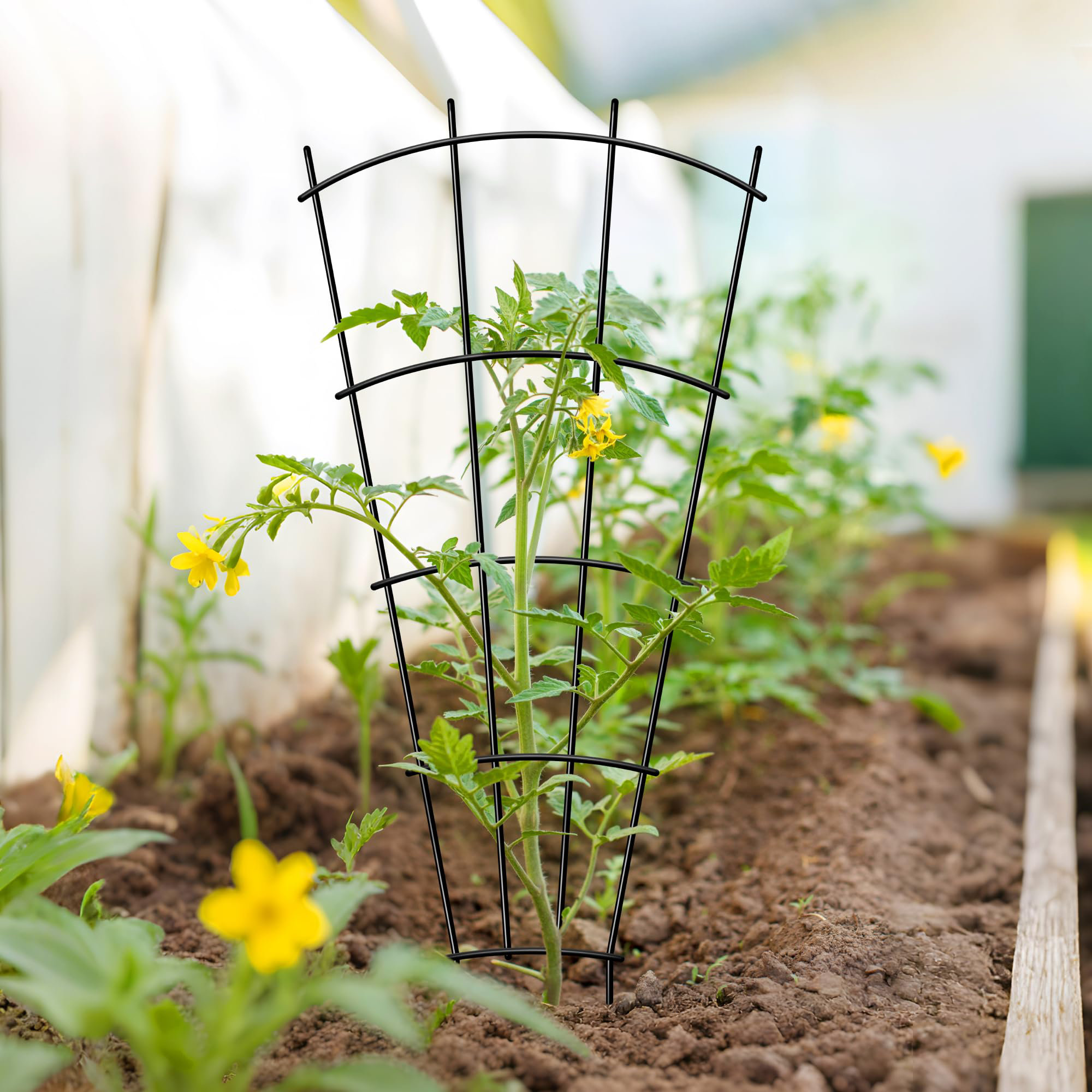 Arlmont & Co. 4 Pack 32'' Indoor Plant Trellis for Potted Plants ...