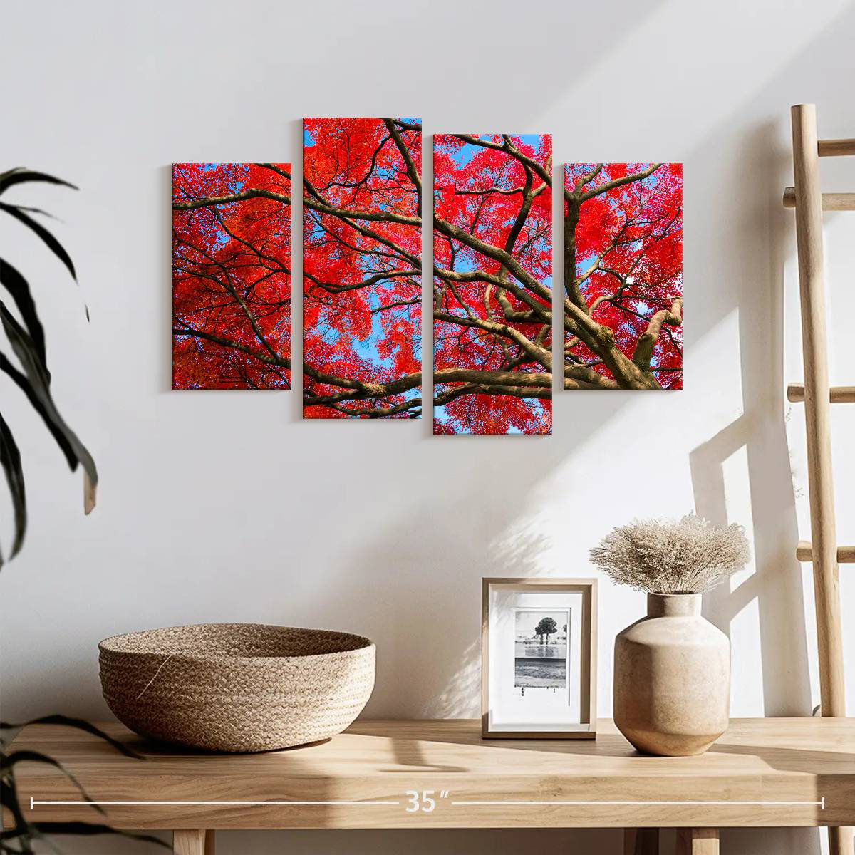 Elephant Stock Japanese Maple Red Canopy | Wayfair