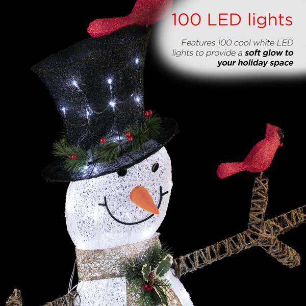 The Holiday Aisle® Snowman Lighted Display & Reviews | Wayfair