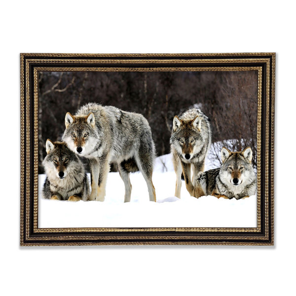 Union Rustic Gray Wolves Norway - Single Picture Frame Art Prints ...