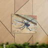 Latitude Run® Majestic Widow Spider Art Majestic Widow Spider Print ...
