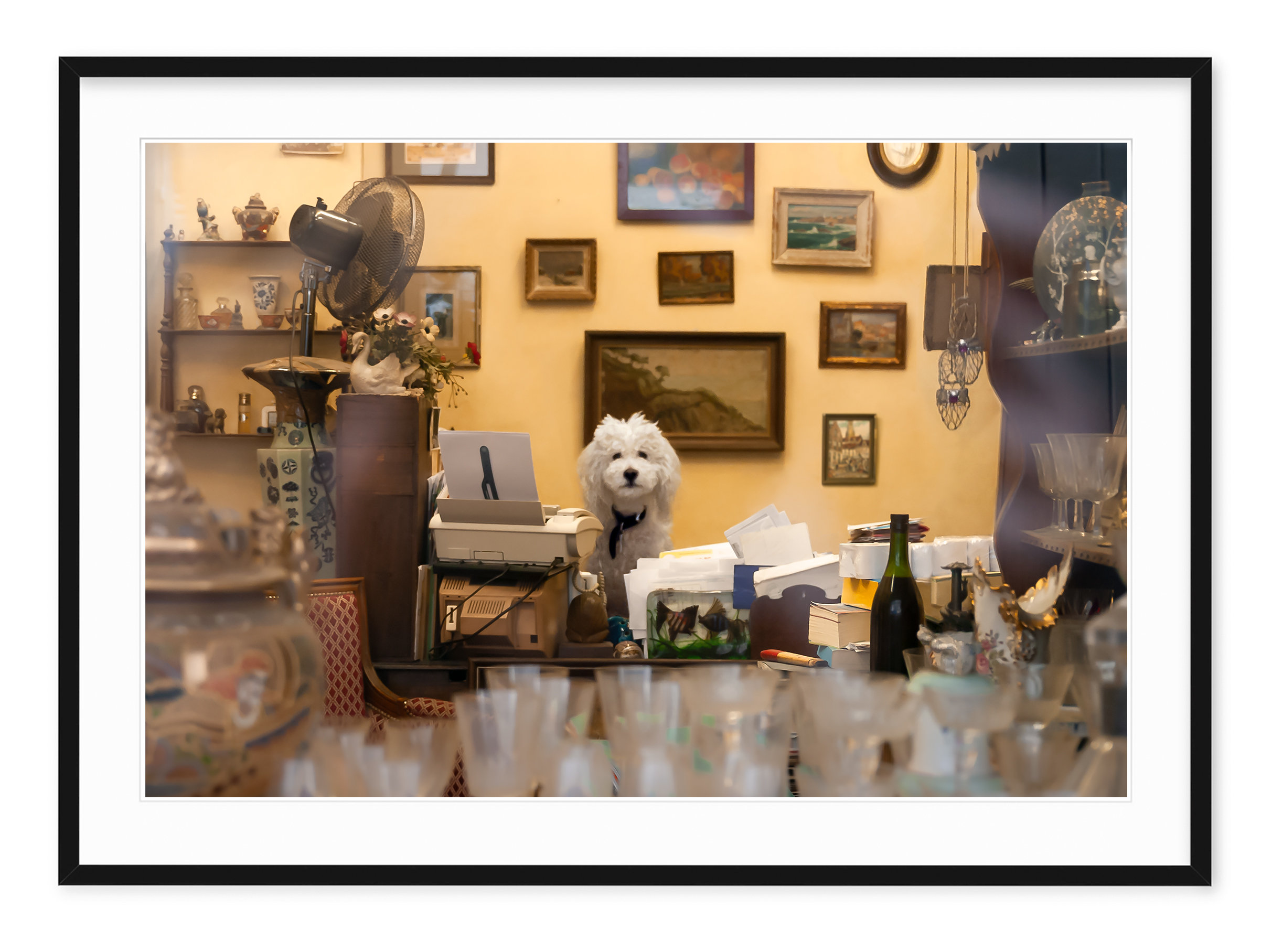 Robin Riley Photography Parisian Dog at Work - Picture Frame Photograph ...