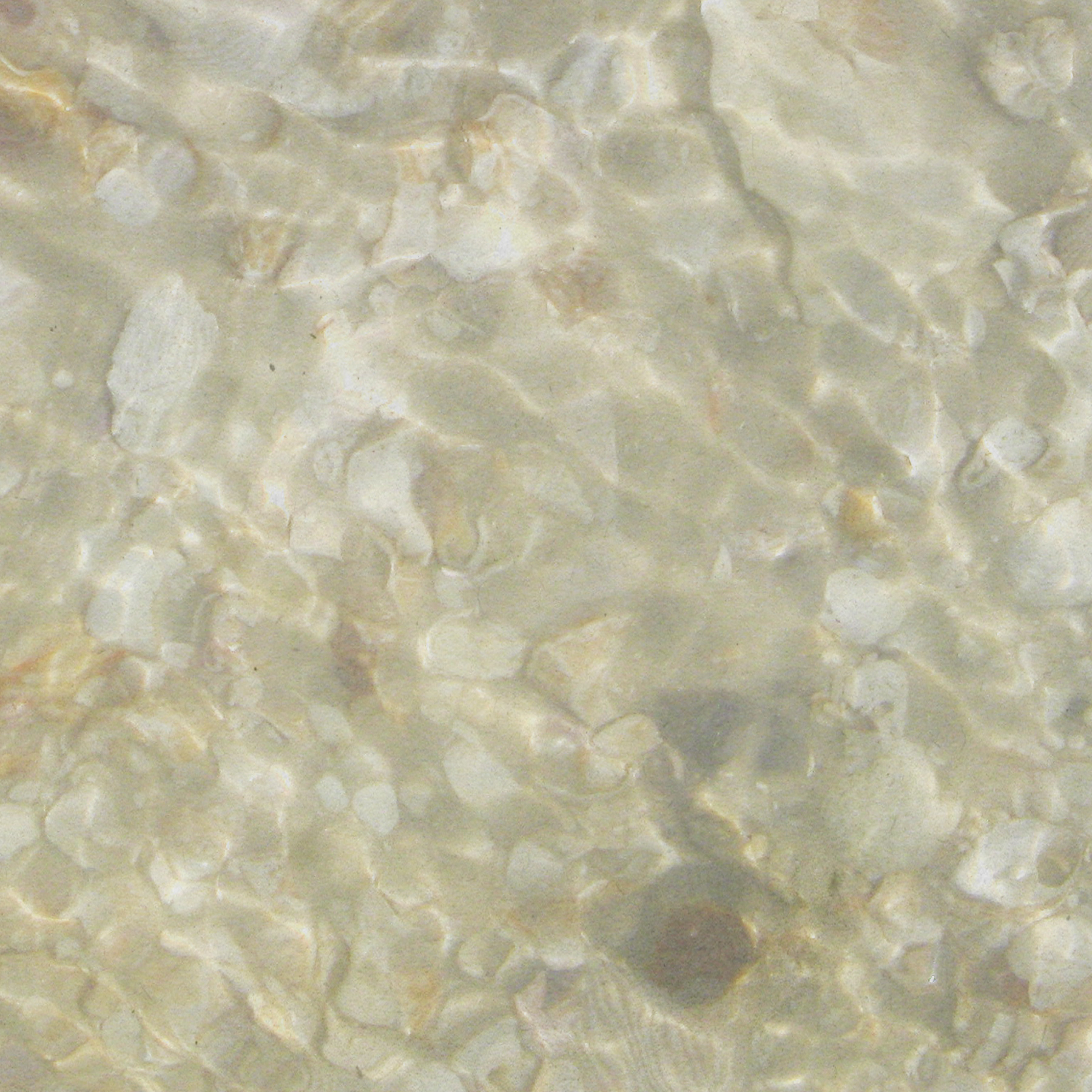 Rosecliff Heights Shell Squares IV | Wayfair