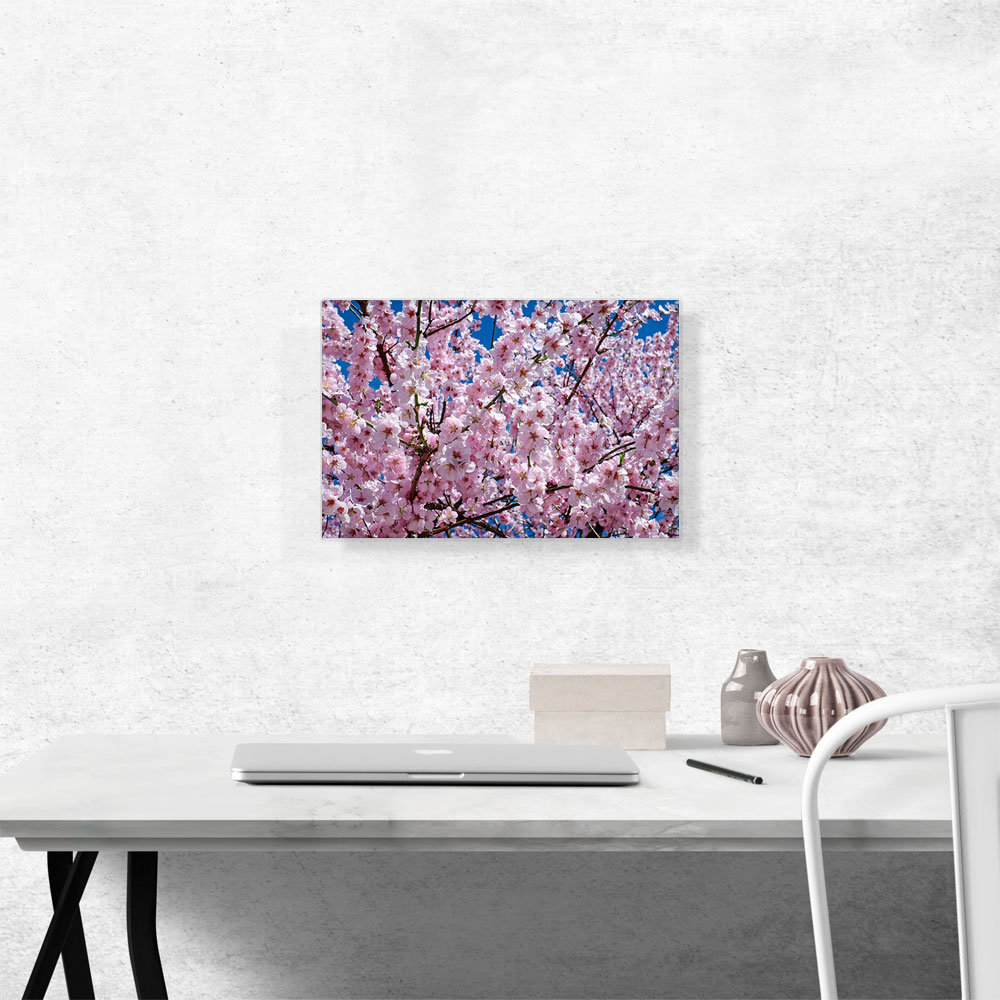 ARTCANVAS Orchard Tree Blossoms Home Decor Rectangle Canvas Art Print ...