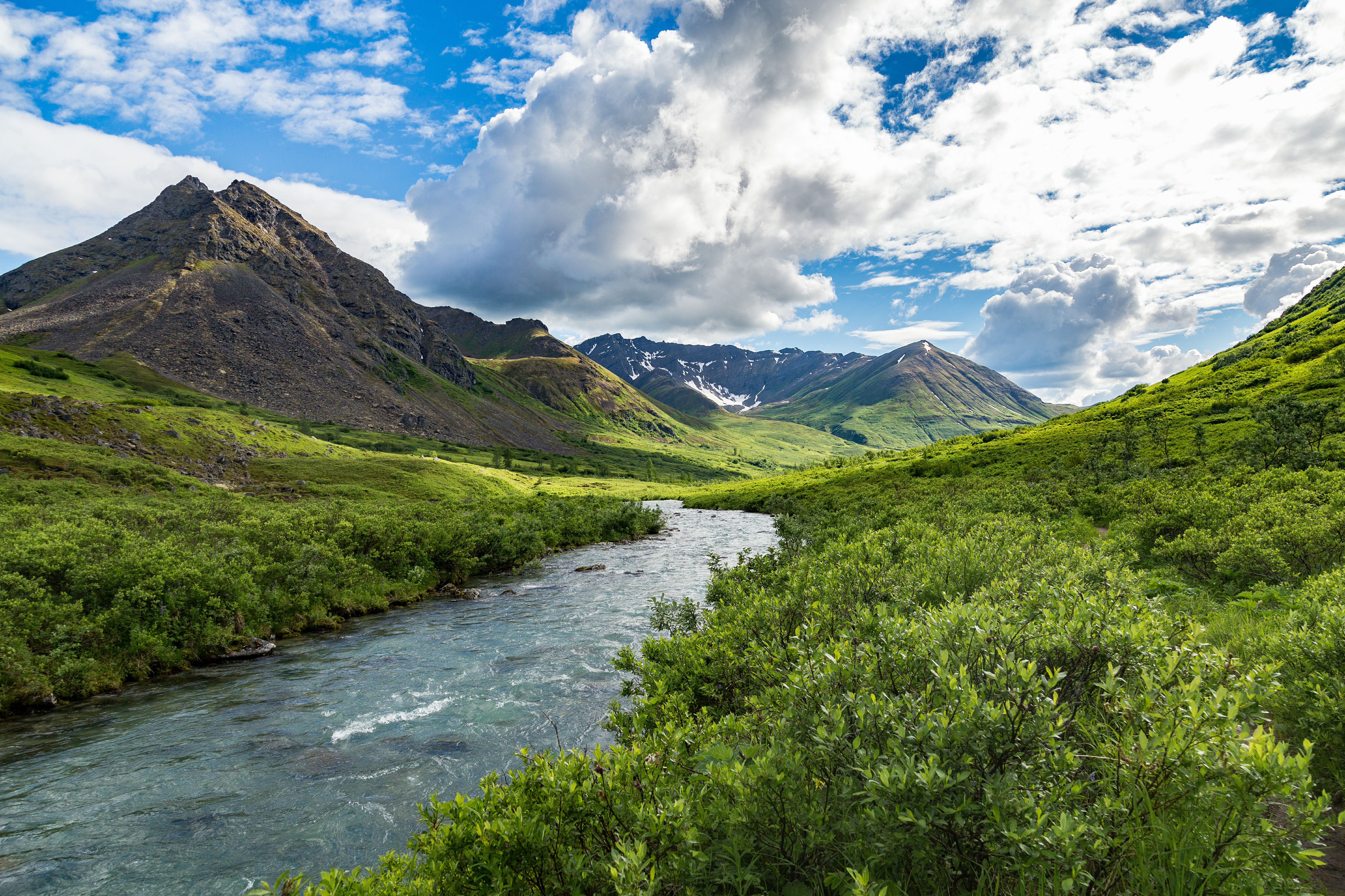Millwood Pines Alcaria Little Susitna River, Alaska by - Wrapped Canvas ...