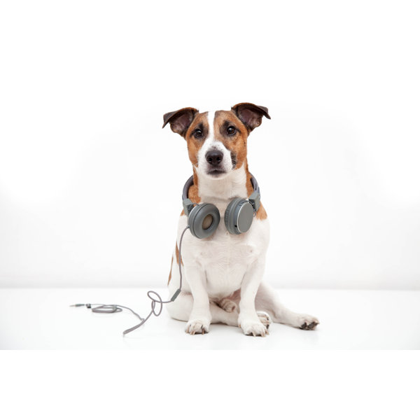 Marlow Home Co. Dog Portrait With Headphones by Marco_Piunti - Print ...