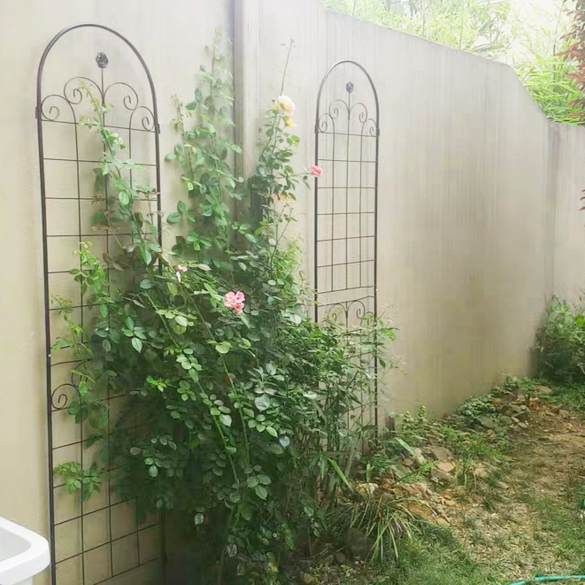 Red Barrel Studio® Miyonna 86.7'' H x 80'' W Iron Lattice Panel Trellis ...