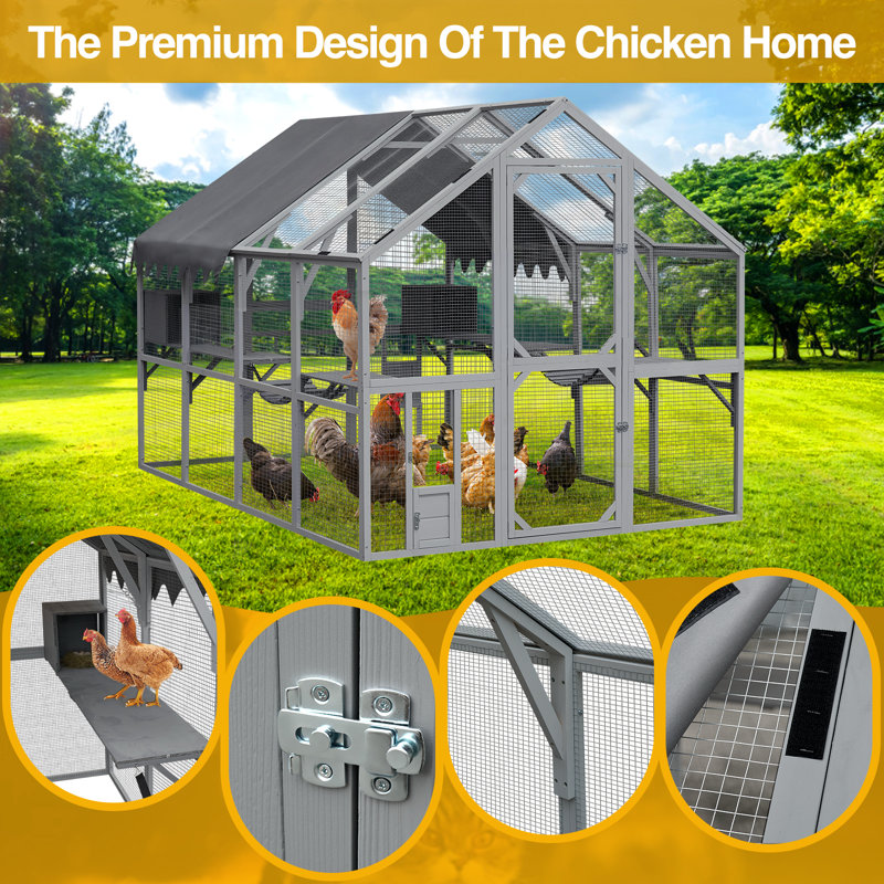 Tucker Murphy Pet™ Large Wooden Outdoor Chicken, Cat Run 110" Large Hen ...