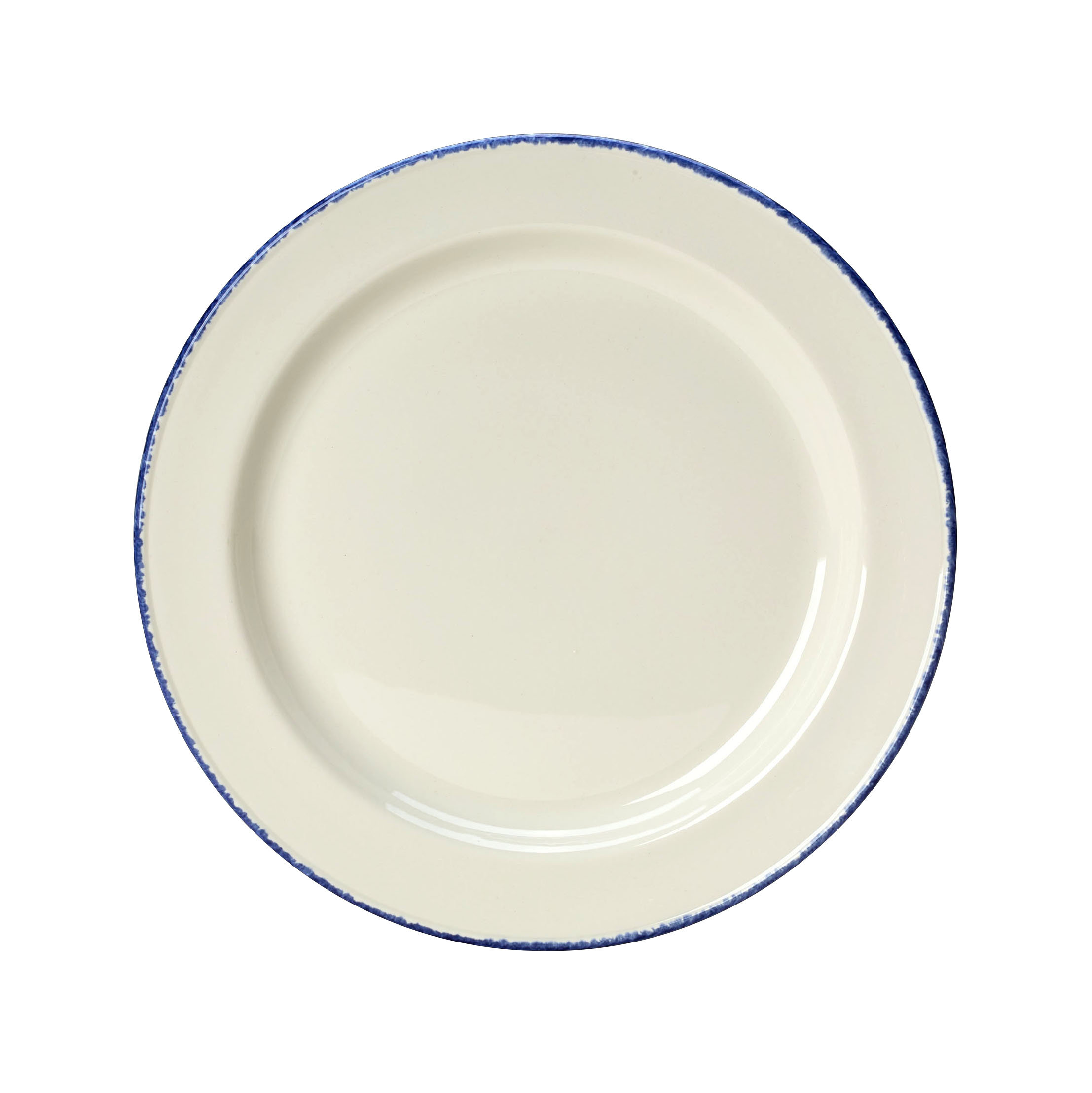 Steelite International BLUE DAPPLE Slimline Plate | Wayfair