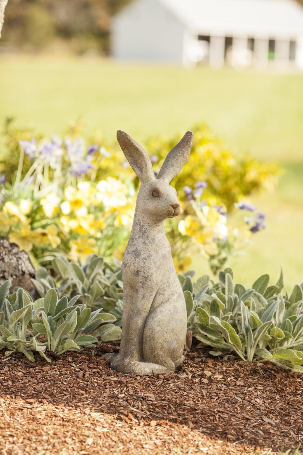 Wind & Weather Tall Sitting Bunny Statue & Reviews | Wayfair