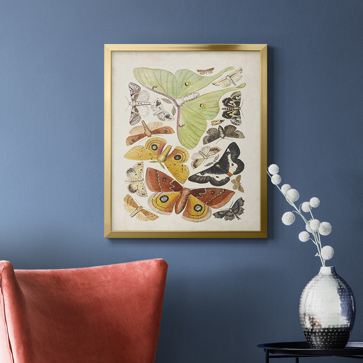 August Grove® Antique Moths I Premium Framed Canvas - Ready to Hang ...