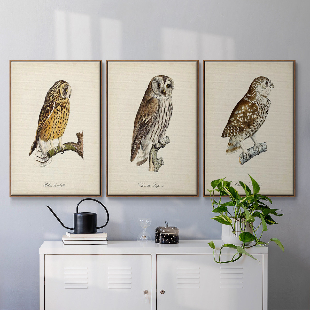 Wexford Home French Owls I - 3 Piece Floater Frame Print Set on Canvas ...