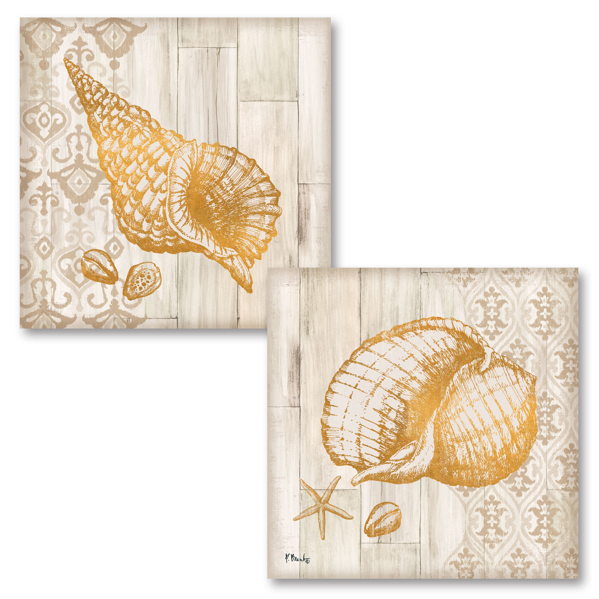 Highland Dunes Distressed Beach Décor Saint Tropez Shell Nautical by ...