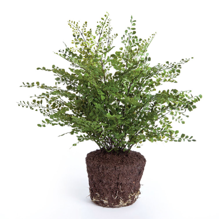 Napa Home & Garden Conservatory Faux Fern Tree in Free Standing ...