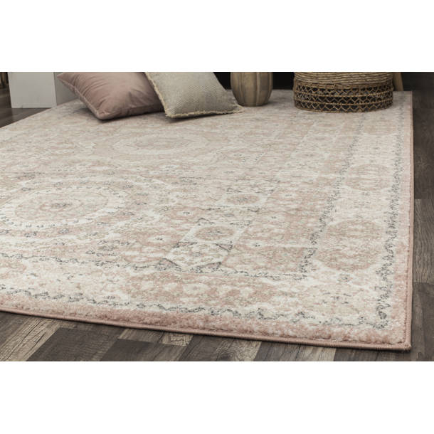 Bungalow Rose Hailey Vintage Pink Lemonade Area Rug & Reviews | Wayfair