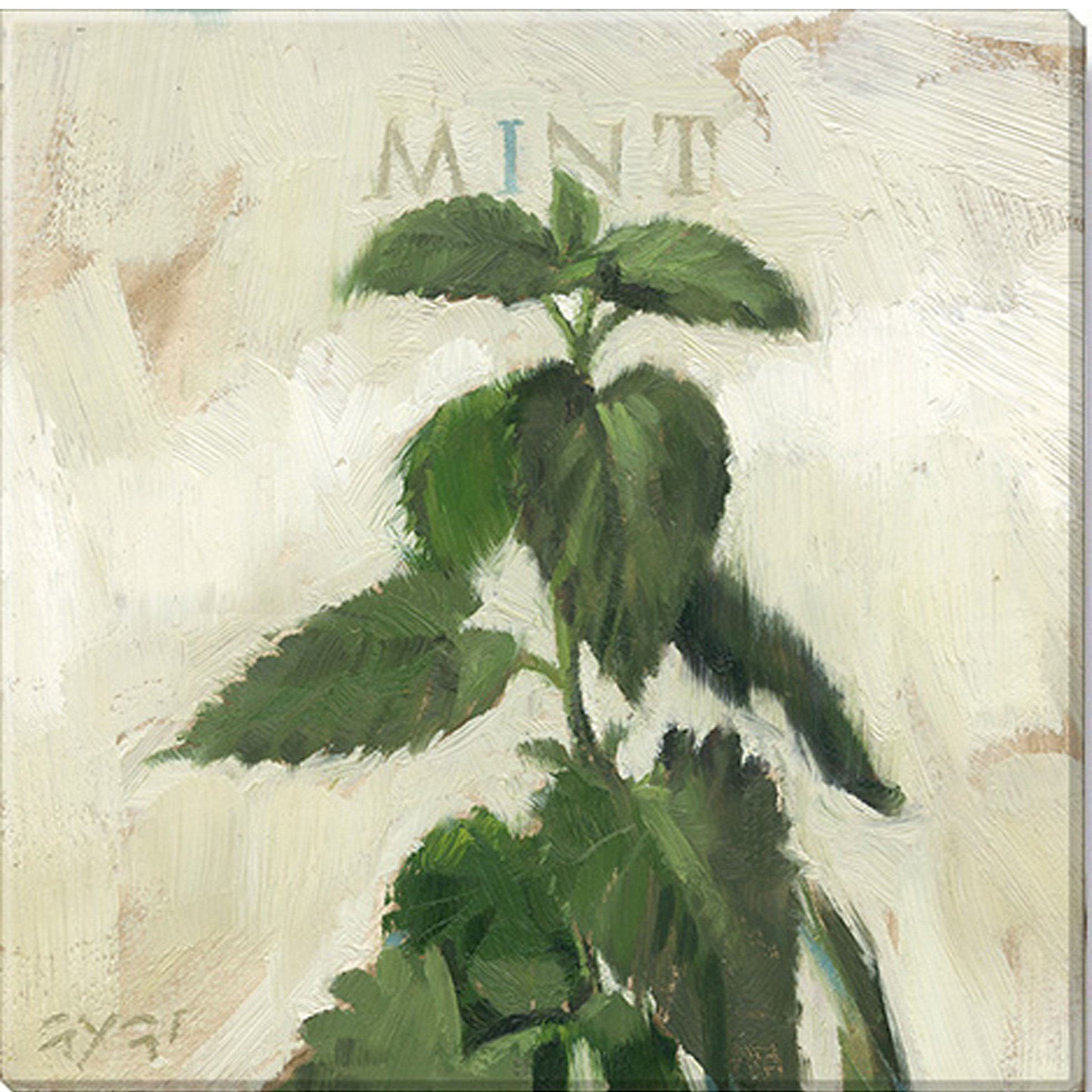 Darren Gygi Home Collection Mint Giclee Wall Art - Wayfair Canada