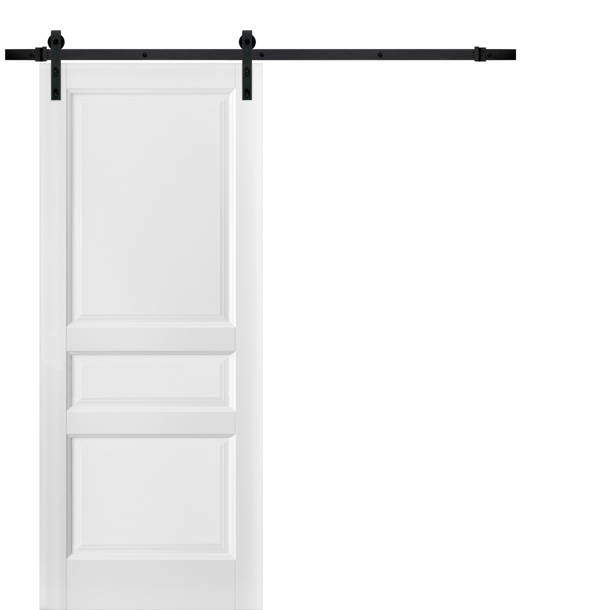 SARTODOORS Lucia Mirrored Glass Wood Barn Door with Installation ...