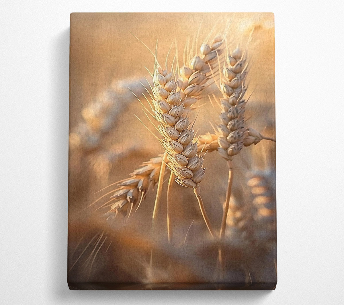 Lily Manor No Frame Print on Canvas | Wayfair.co.uk
