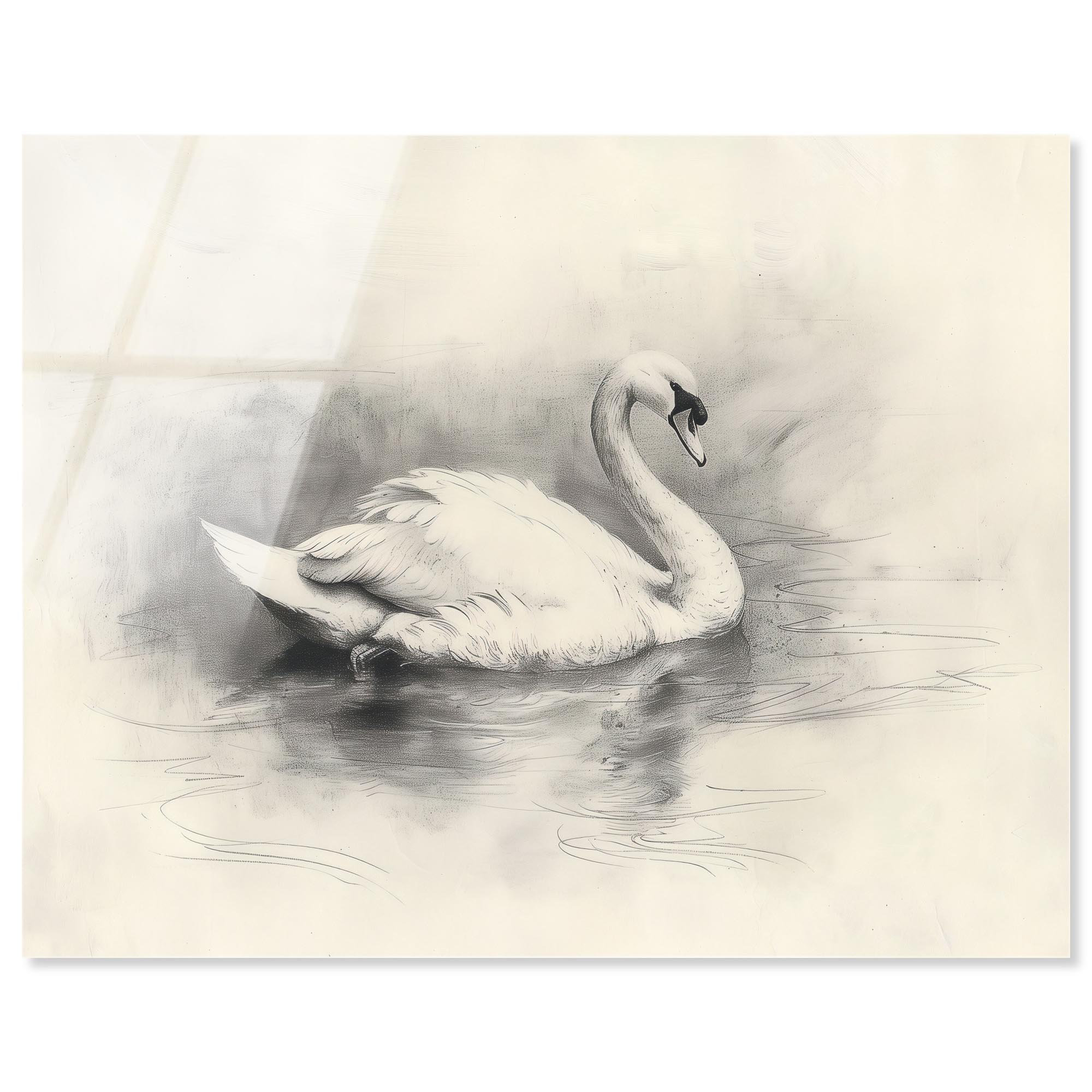 Art Remedy Serene Swan Acrylic Print Animal Illustrations by Art Remedy ...