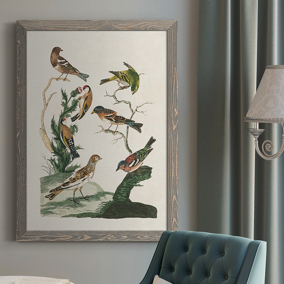Red Barrel Studio Bellinda Antique Birds In Nature I | Wayfair