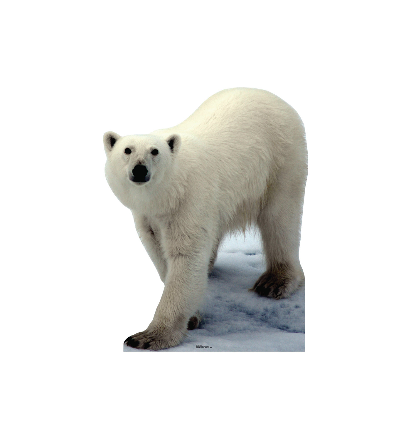 Advanced Graphics Animals Polar Bear Cardboard Stand-Up & Reviews | Wayfair
