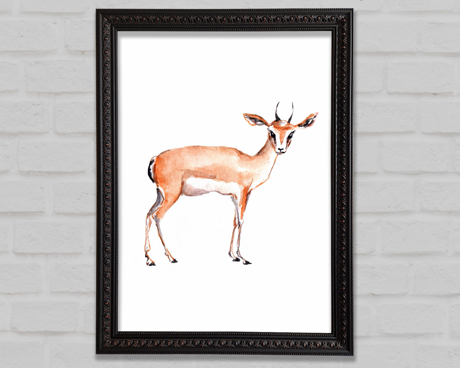 Bright Star Springbok - Print | Wayfair.co.uk
