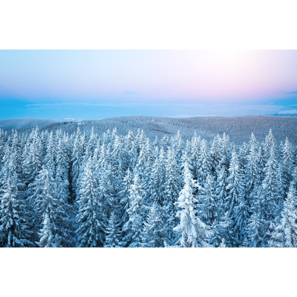 Alpen Home Sunrise Above The Winter Forest by Borchee - Wrapped Canvas ...