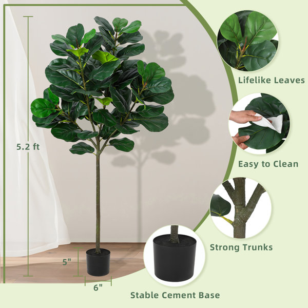 Primrue Faux Ficus Tree, Artificial Ficus Lyrata Plant With 62 Fiddle ...