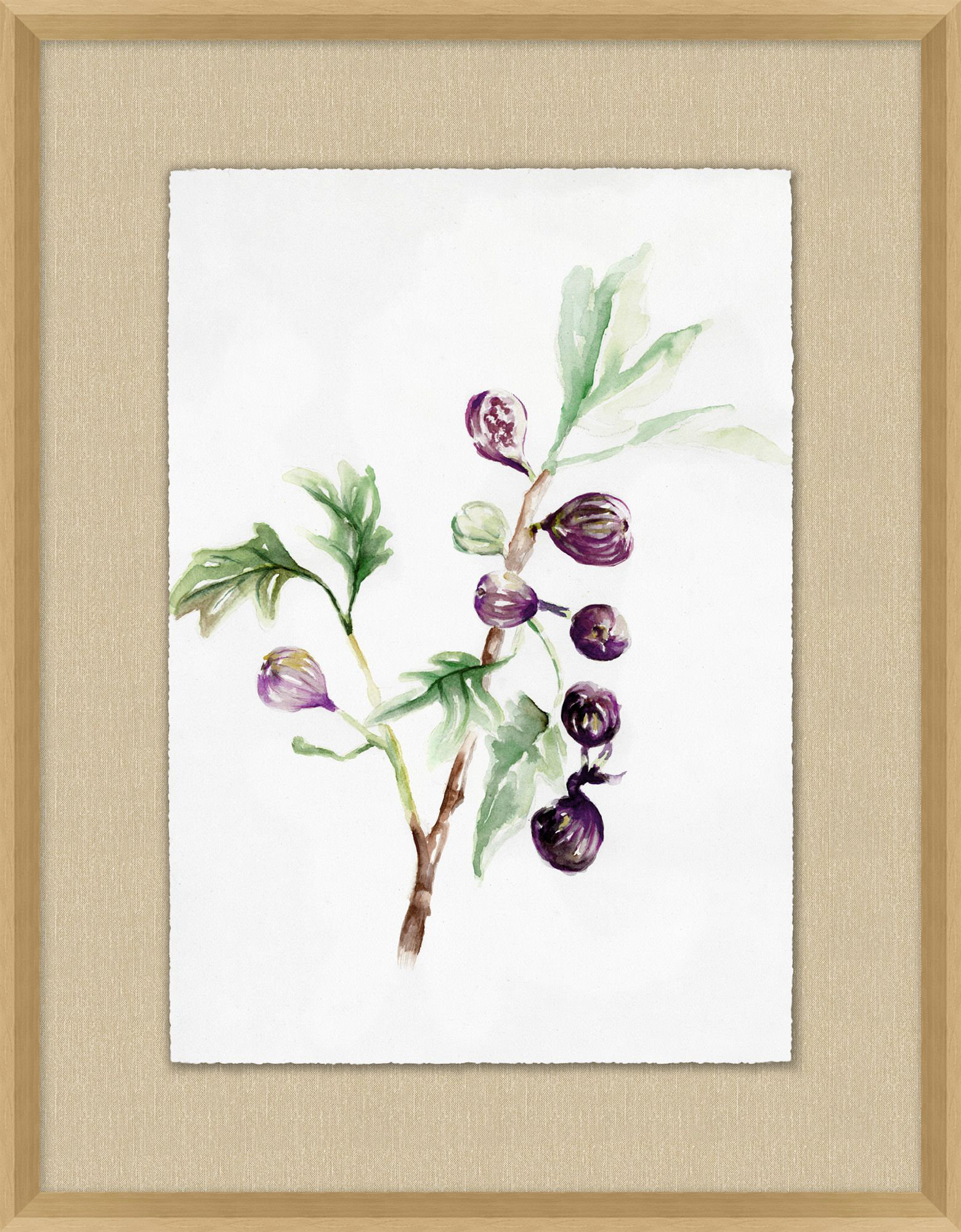 Wendover Art Group Fresh Picked Figs 1 by Nathan Turner - Single ...