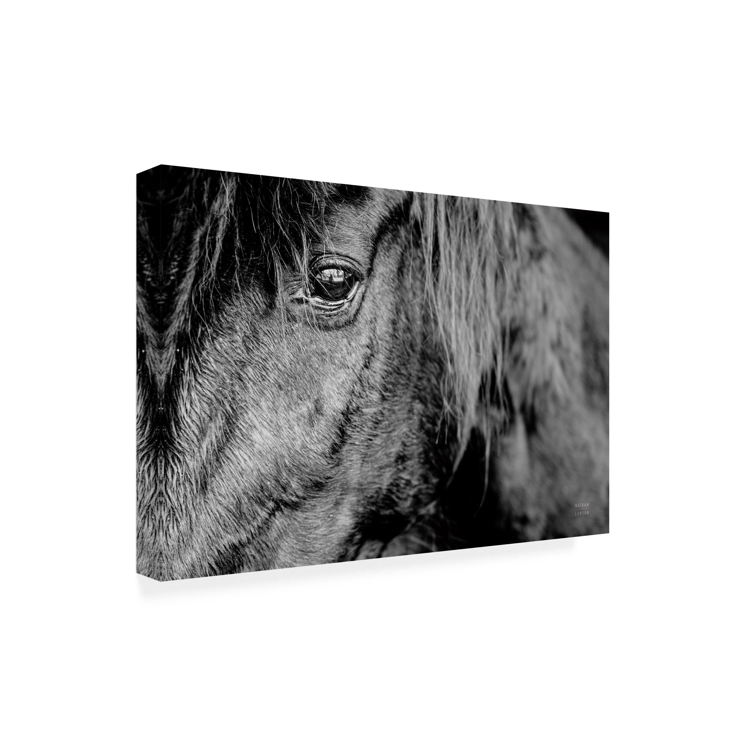 Union Rustic Mustang | Wayfair