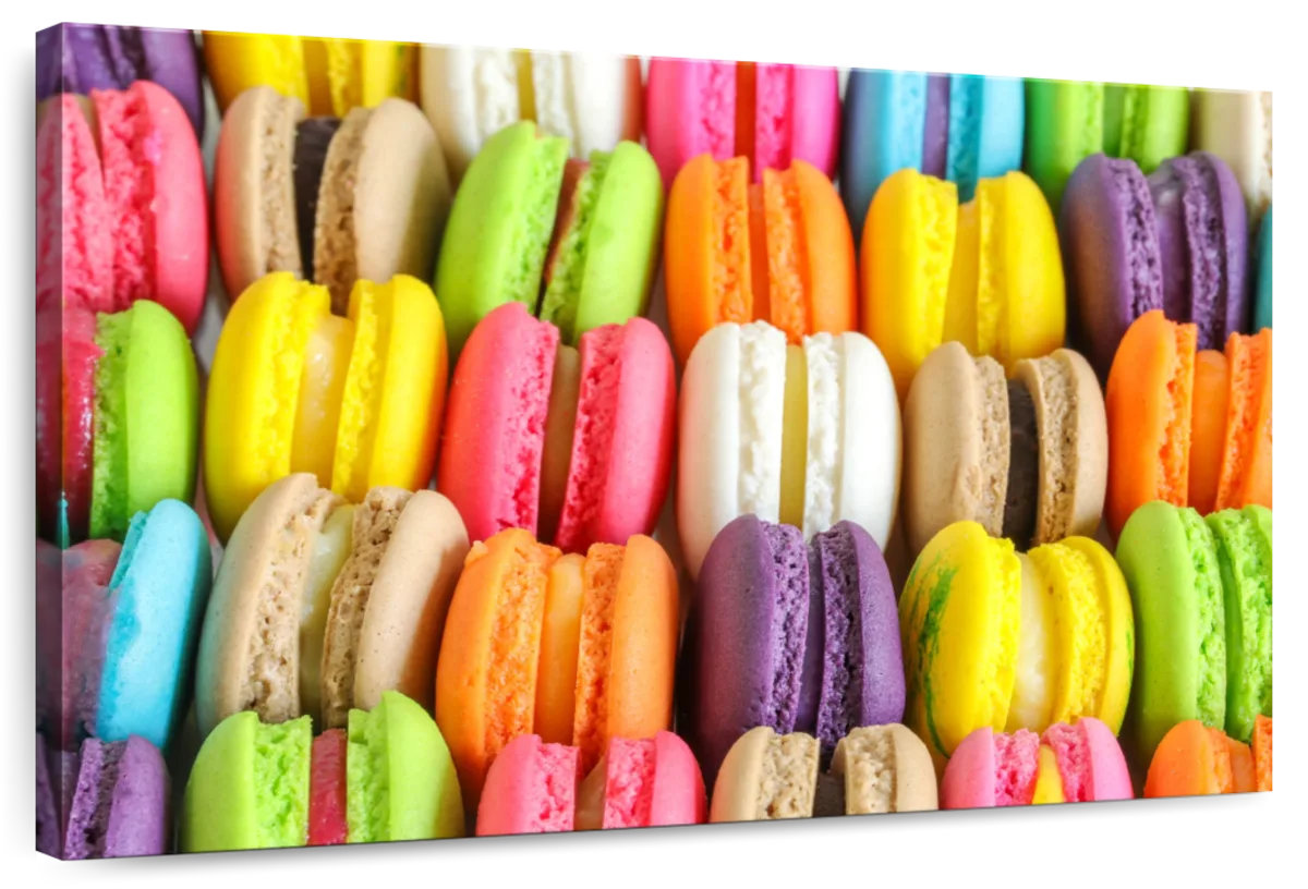 Elephant Stock Luscious Macarons | Wayfair