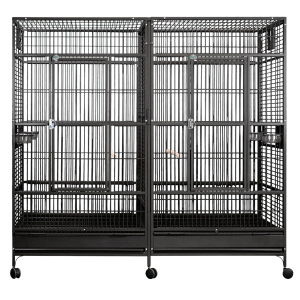 Bird Cages You'll Love | Wayfair