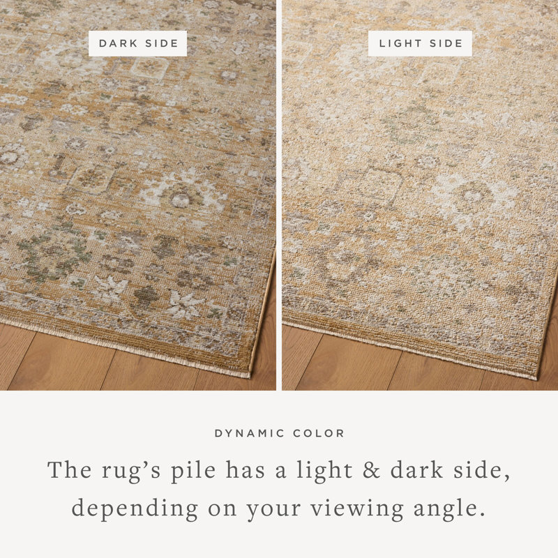 Magnolia Home by Joanna Gaines x Loloi Pace Sunset / Stone Area Rug ...