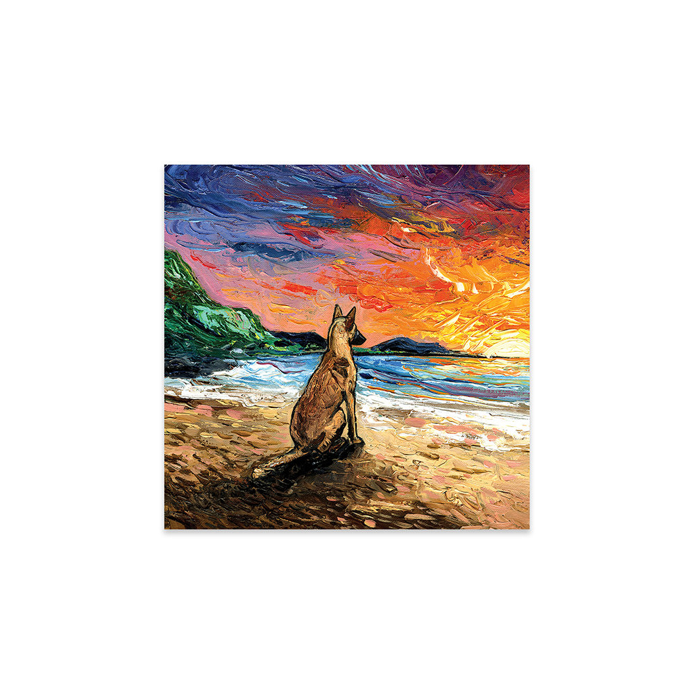 Red Barrel Studio® Beach Days - Belgian Malinois On Plastic / Acrylic ...
