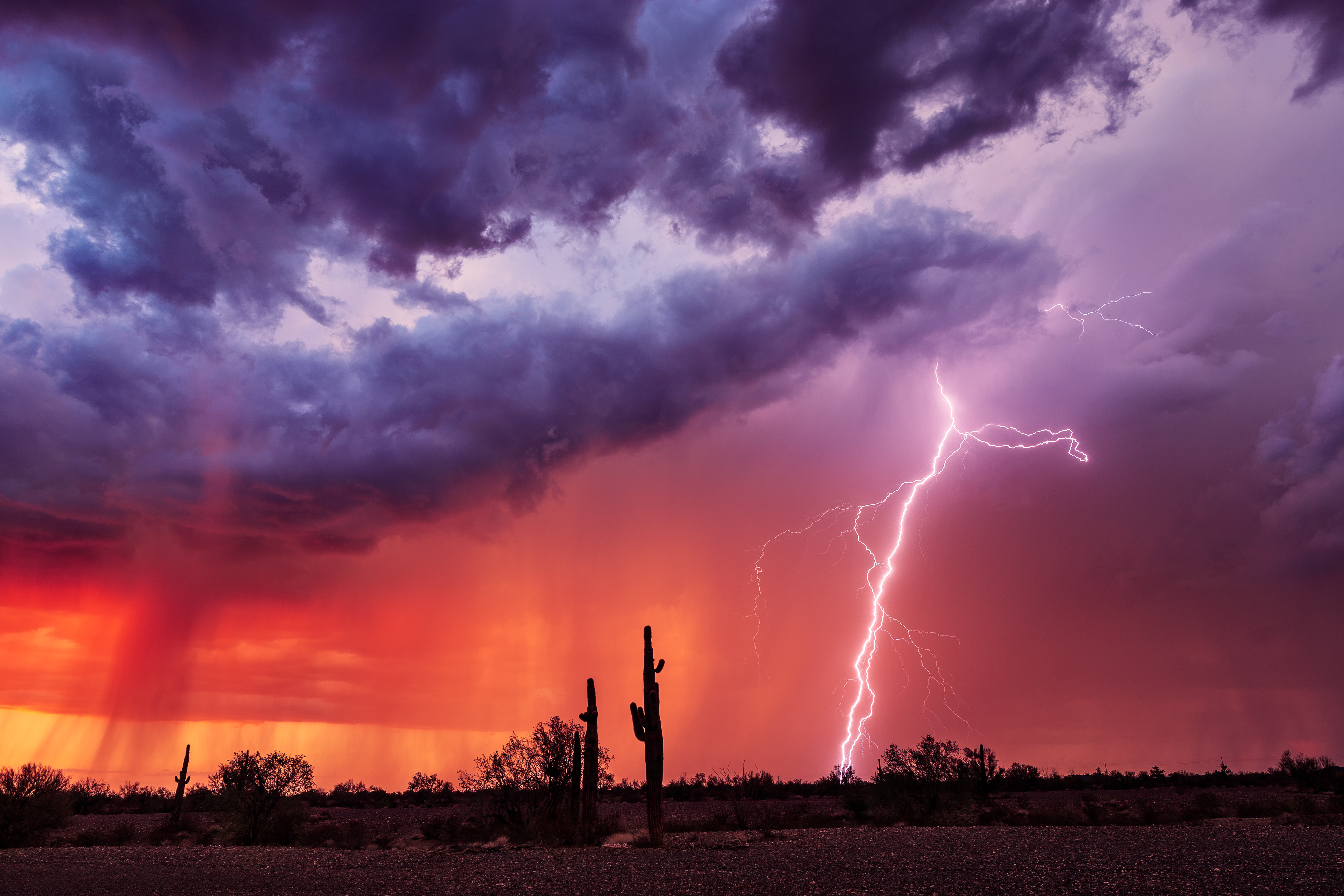 Union Rustic Lightning - Wrapped Canvas Photograph | Wayfair